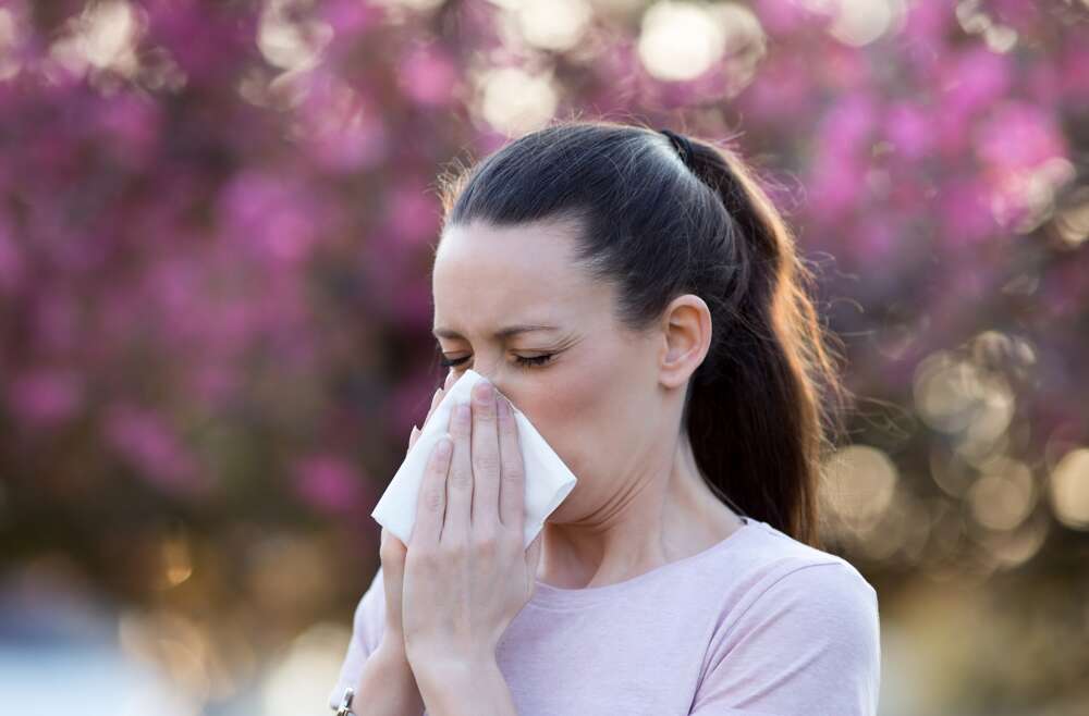Histamine Intolerance: What You Need to Know - El Paso, TX Health Coach ...